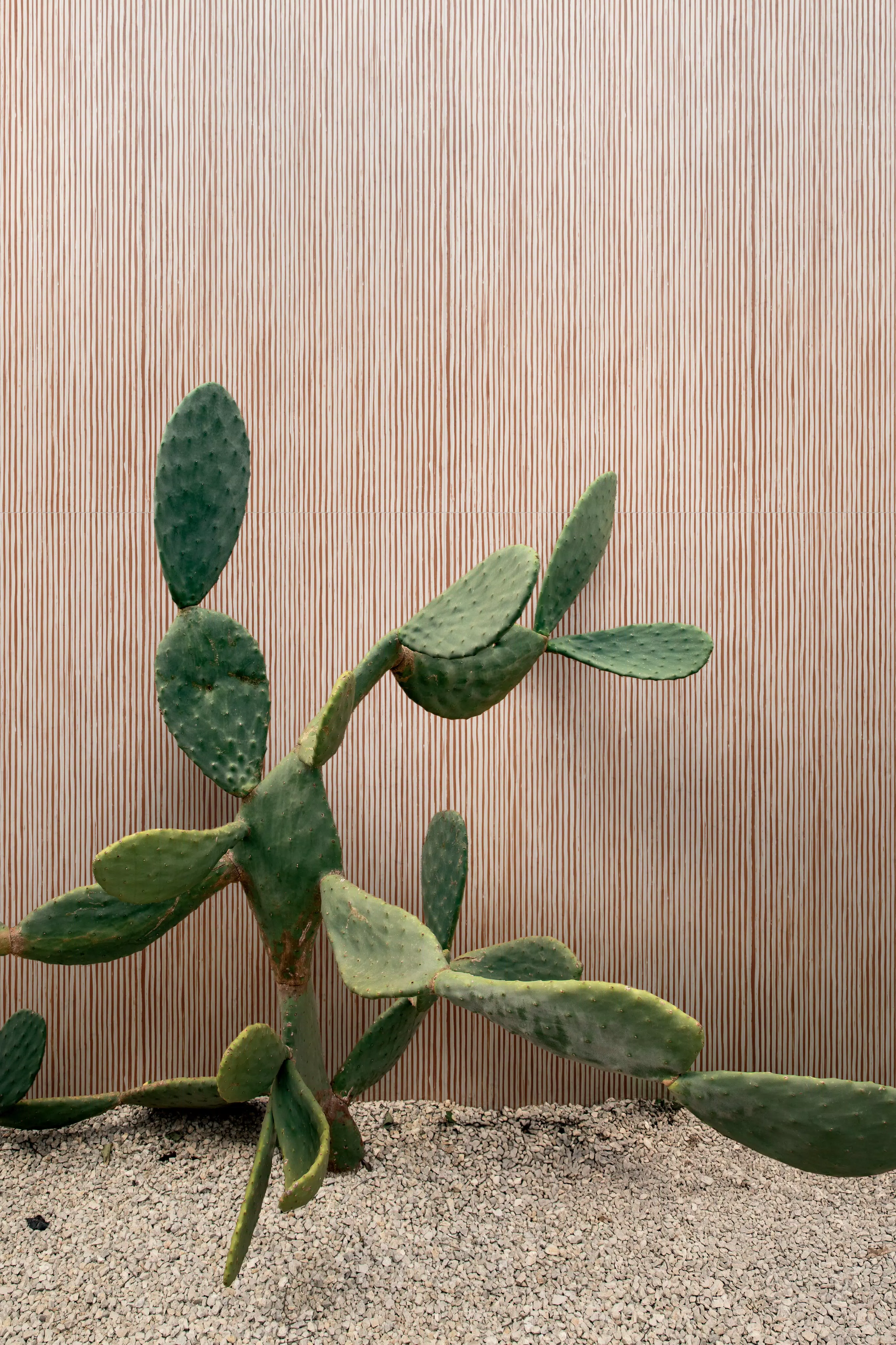 Color Mattone | Florim